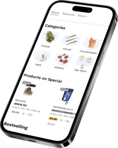 420 Bliss Troy NY - 420 BLISS